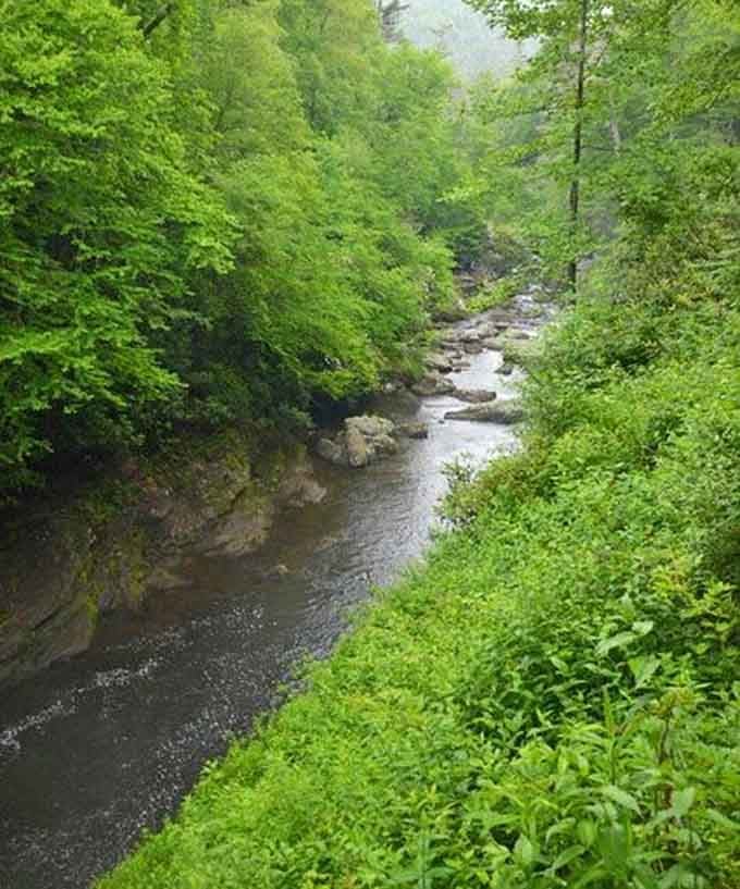 The Cullasaja River winds through the gorge like it owns the place, because honestly, it does.