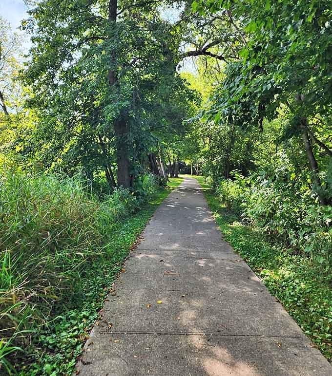 A paved path disappearing into a tunnel of green. Dunton Locks County Park practically begs you to keep walking.