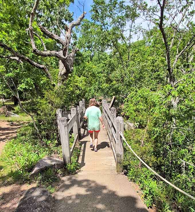Cross this wooden bridge and step deeper into one of Missouri's most quietly magnificent natural treasures.
