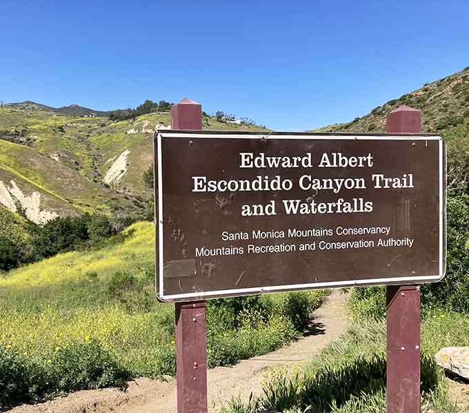 The Edward Albert Escondido Canyon Trail sign stands proudly against wildflower-covered hills, marking the start of something wonderful.