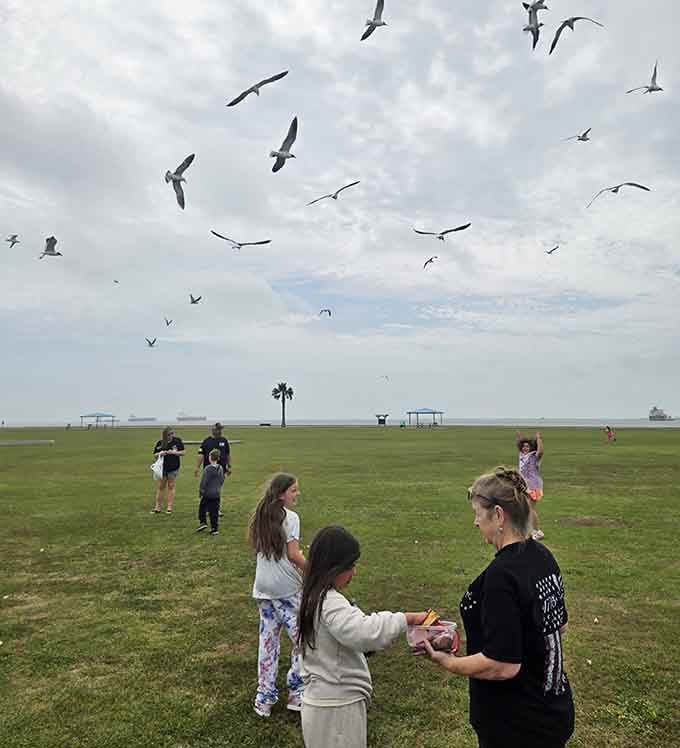 Seagulls, kids, and open sky, proof that the best family moments don't require a theme park or a ticket booth.