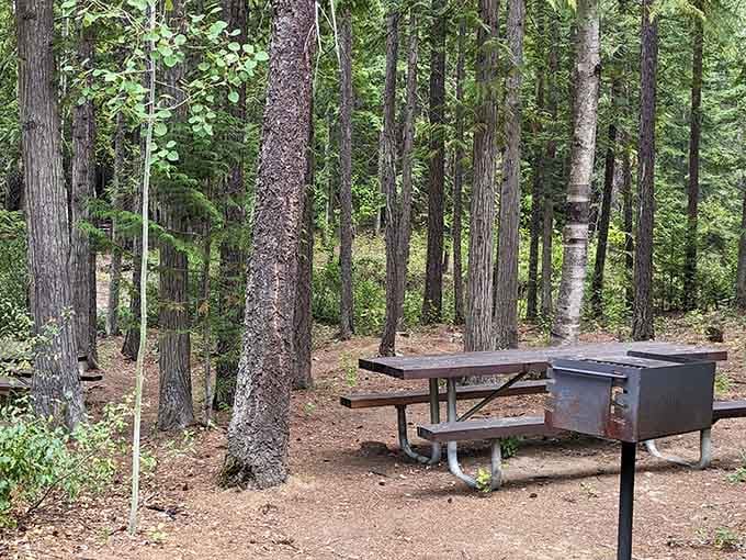 A picnic table tucked among the tall pines reminds you that the magic doesn't stop when you leave the cave.