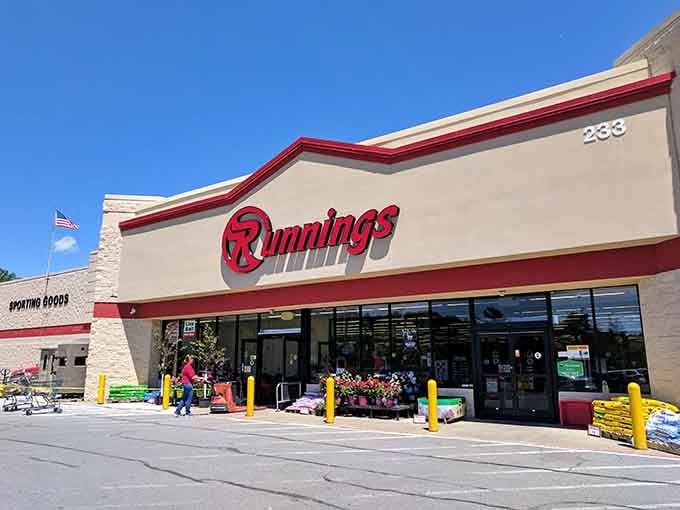 Bright signage welcomes shoppers to practical retail therapy, where everyday needs don't require a second mortgage.