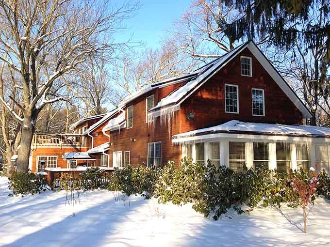 Goldberry Woods in winter proves that beauty doesn't take a season off.