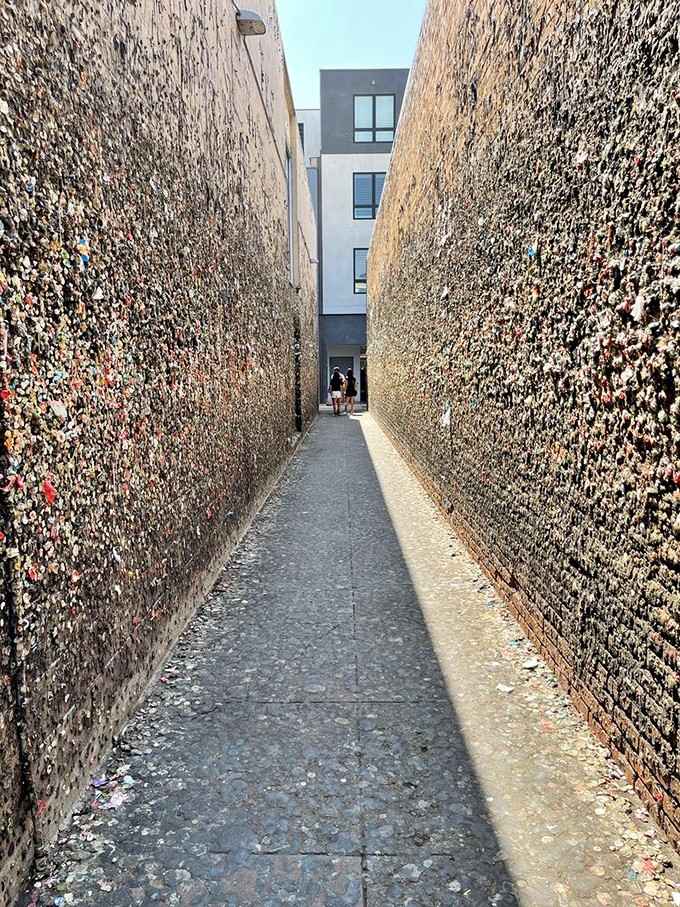 Bathed in warm afternoon light, the full length of Gum Alley stretches out ahead, inviting you to walk straight into something wonderfully unforgettable.