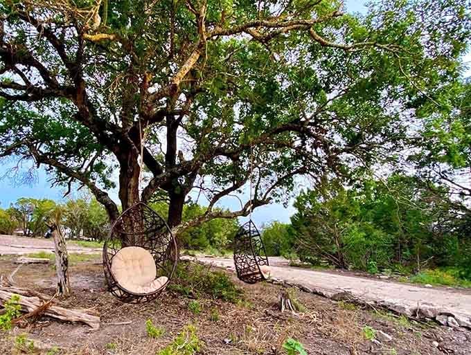 Hanging egg chairs beneath an old oak tree, swaying gently in the breeze. This is what peace looks like in Texas.