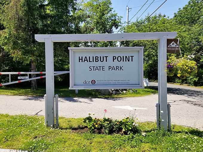 The entrance welcomes you to 56 acres of coastal perfection, where your next favorite Massachusetts memory begins.