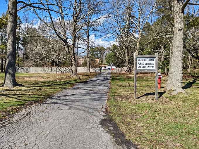 A quiet service road winding through bare trees, a gentle reminder that even the back corners of Heckscher have their own charm.