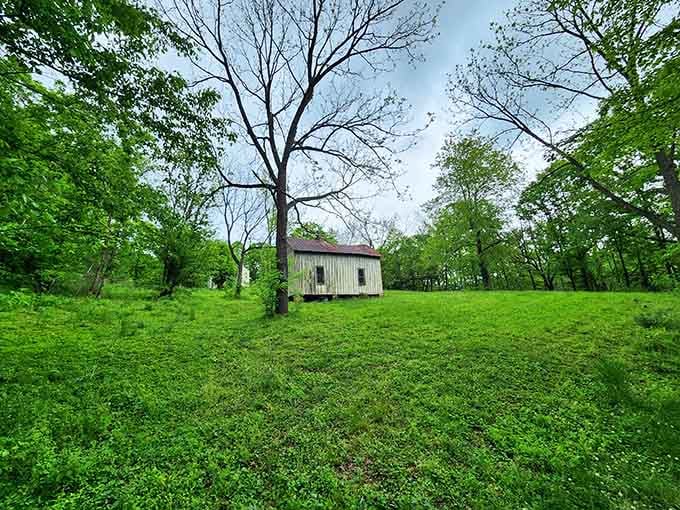 One small cottage, surrounded by an ocean of green, holding its ground against everything.