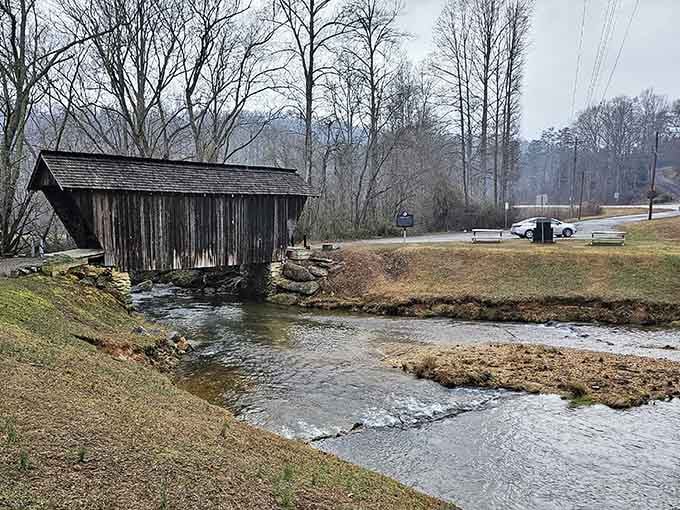 Cold water, bare trees, and a bridge that's been here longer than anyone alive. Some things just endure beautifully.