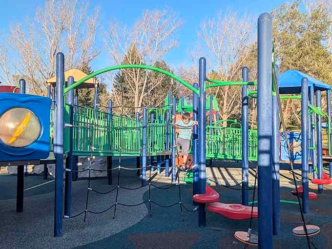 Climbing nets and rope obstacles challenge coordination while remaining accessible through multiple entry points and difficulty levels.