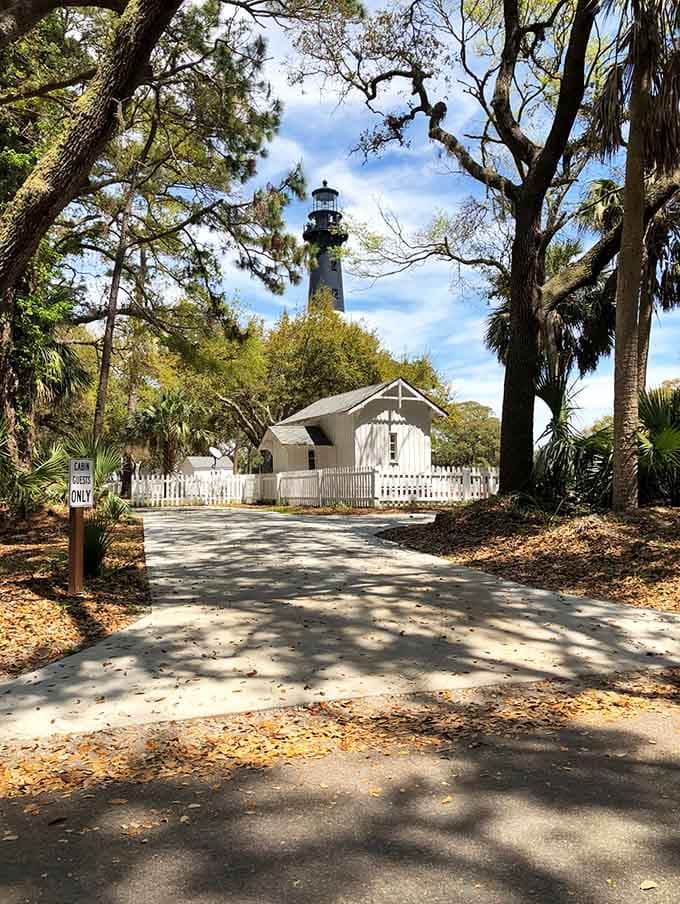 Every path through this park seems to lead somewhere worth going, and the lighthouse is always watching over all of it.