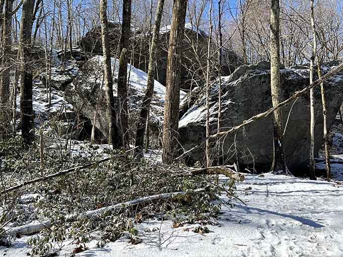 Snow-dusted boulders under a bright blue sky. Winter turns this trail into something that belongs on a holiday card.