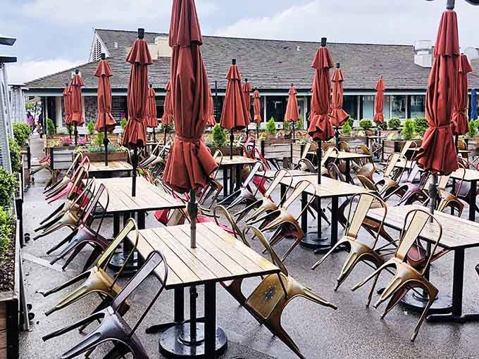 This expansive patio setup promises al fresco dining perfection when Maryland weather cooperates beautifully with your plans.