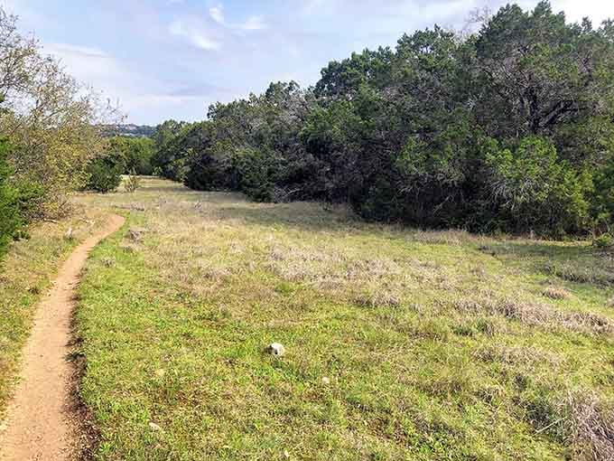 Open meadow, blue sky, and a dirt path going somewhere wonderful. Keep walking.