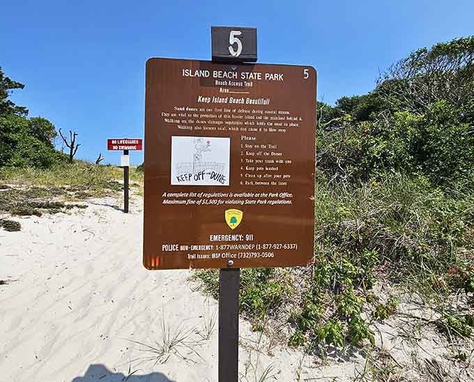 Park regulations keep this treasure protected, ensuring future generations can enjoy nature's masterpiece too.