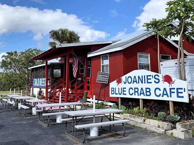 Picnic tables outside, palm trees overhead, and the Everglades as your backdrop. Lunch doesn't get more Florida than this.