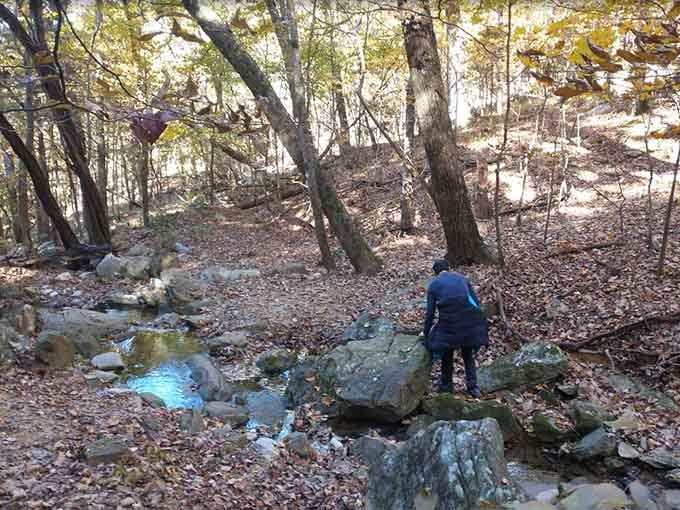 Solo hiker navigating rocky creek bed, discovering that sometimes the best company is just you and flowing water.