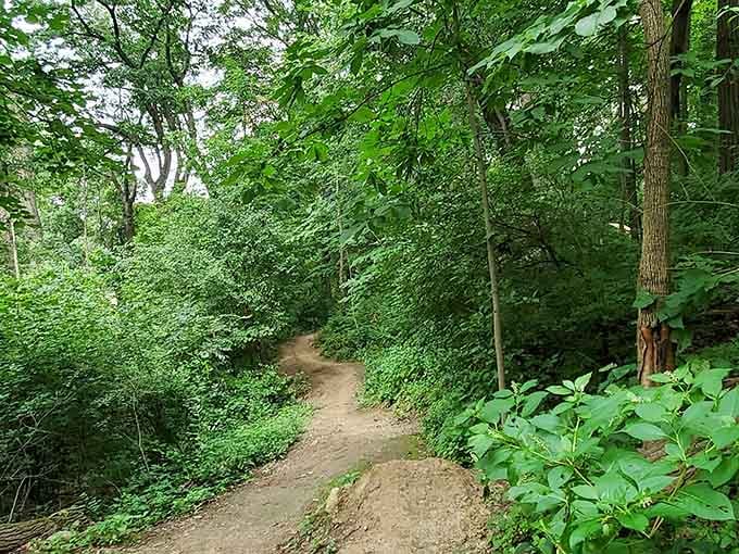 A winding dirt path disappears into the trees, practically daring you to find out what's around the corner.