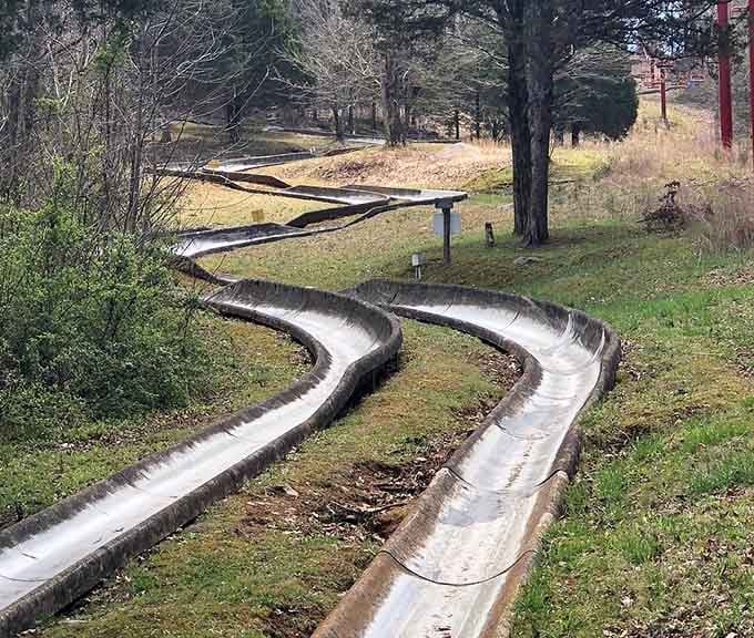 The alpine slide winds through the trees like Kentucky's best-kept secret, and now you know about it.
