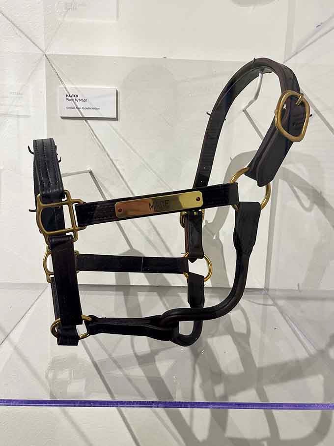 Mage's actual leather halter, brass nameplate and all, sitting quietly behind glass like the understated trophy of a true champion.