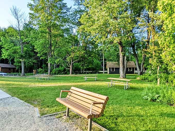 Picnic benches, green grass, and tall trees overhead. The park invites you to slow down and actually breathe for once.