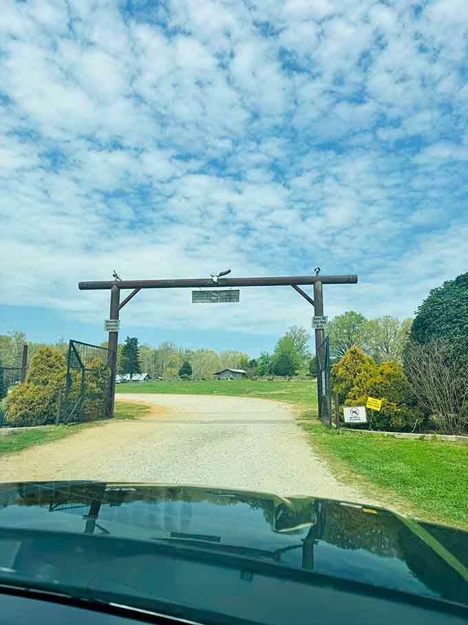 That rustic wooden entrance gate says it all: leave your worries at the road, friend.
