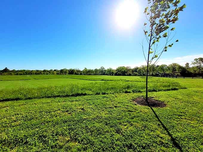 Wide open spaces under endless blue skies, reminding us why Kentucky earned its reputation for breathtaking natural beauty.