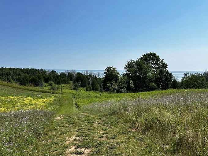 The trail dips toward the lake and suddenly the whole horizon opens up. That moment is worth every step to get there.