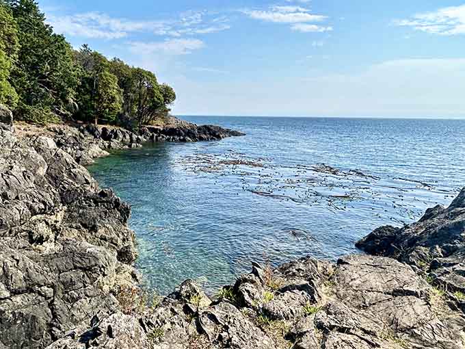 Rocky cliffs and tide pools offer their own entertainment while you wait for the main attraction.