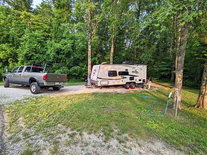 RV camping here means waking up surrounded by trees instead of parking lots, which is basically winning at life.