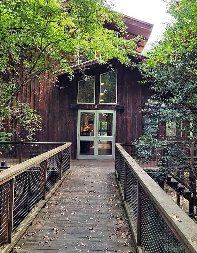 The nature center sits nestled in the trees like it grew there, which feels exactly right.