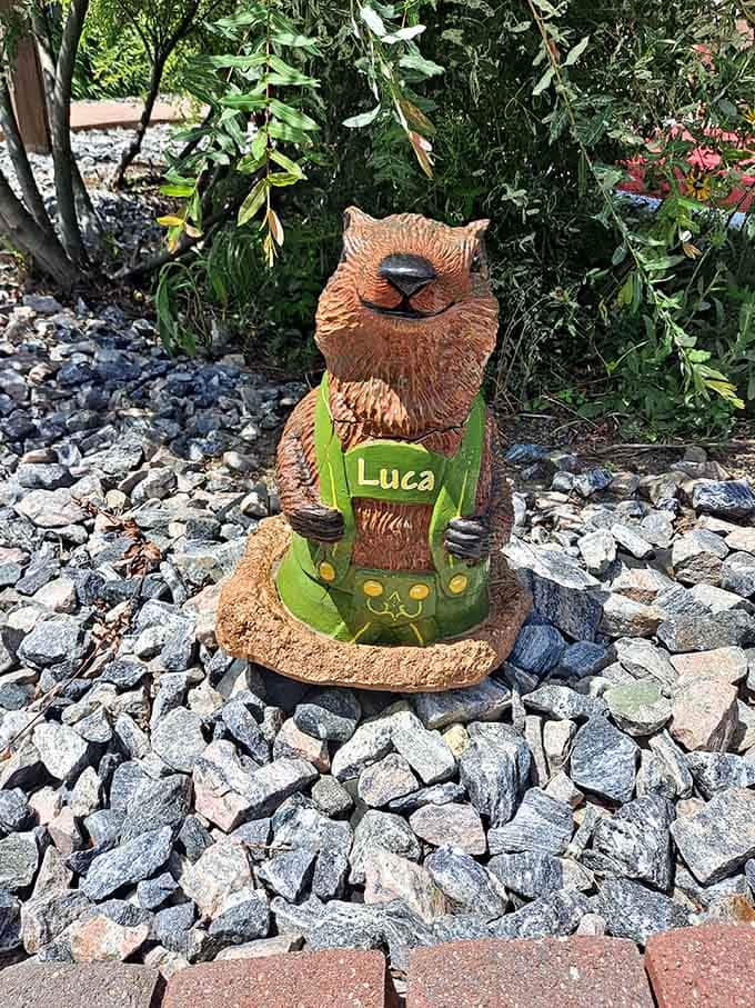 Meet Luca, the groundhog in lederhosen, the unofficial mascot and most fashionable resident of the entire course.