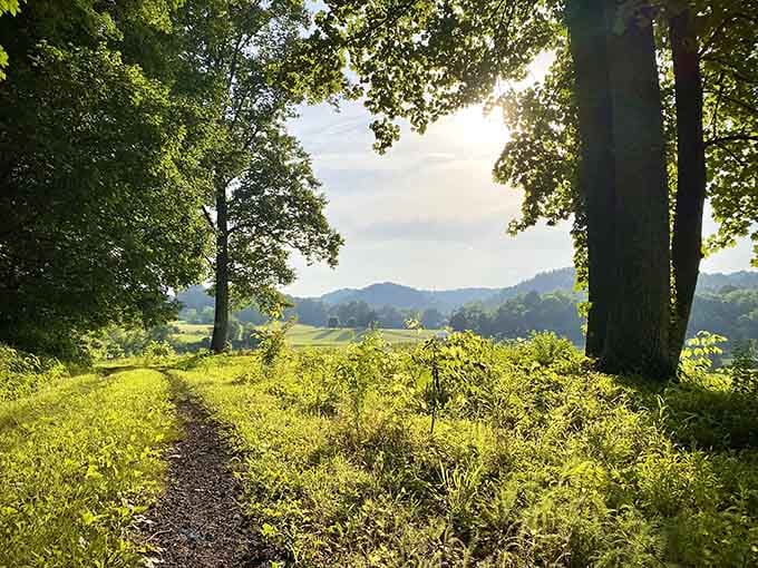 Late afternoon light spilling across the trail like nature showing off. Southwest Virginia has absolutely no chill, and that's a compliment.