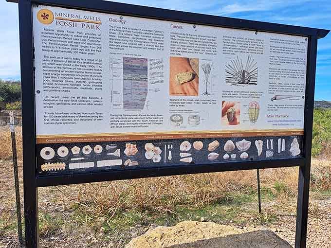 The geology and fossil information board tells the whole remarkable story of this ancient seafloor in one glance.