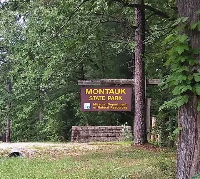 Montauk State Park welcomes you to discover why Missourians have been keeping this gem relatively quiet forever.