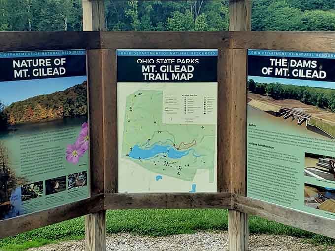 The park's information boards cover the nature and the dams. Consider it homework you'll actually enjoy doing.