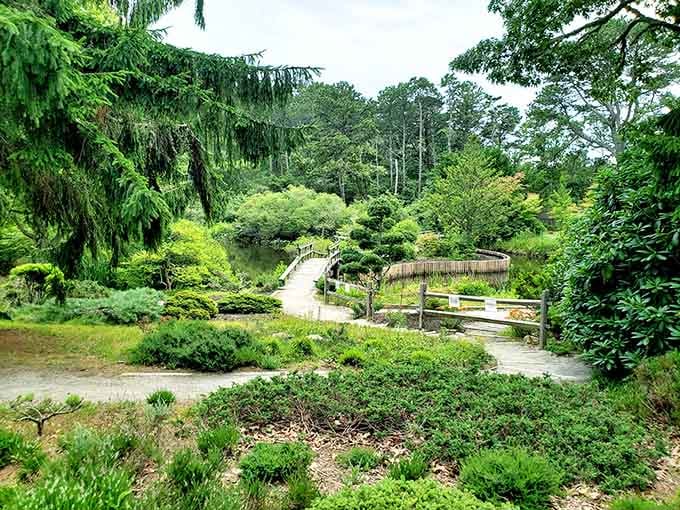 Bridges, pathways, and layers of green stretching in every direction. Mytoi doesn't show you everything at once. It lets you discover it.