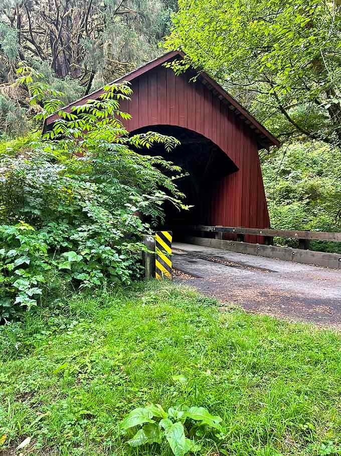 Nature and human craftsmanship coexist beautifully here, each enhancing the other's appeal without competing.