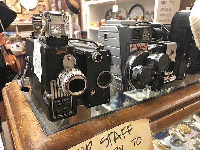 A Cine-Kodak and a Holiday II camera sitting side by side, two old storytellers waiting for someone to pick up where they left off.