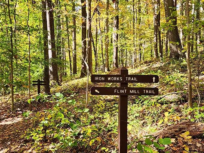 Trail signs pointing to history, because even nature parks have stories worth discovering here.