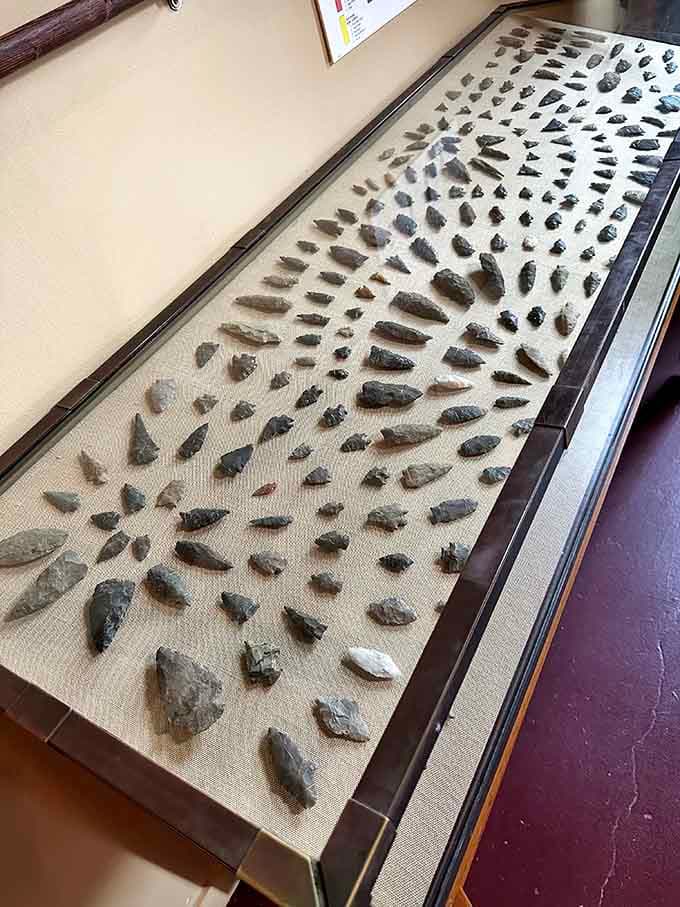 Hundreds of arrowheads and stone tools laid out in careful rows, each one a quiet conversation across thousands of years.