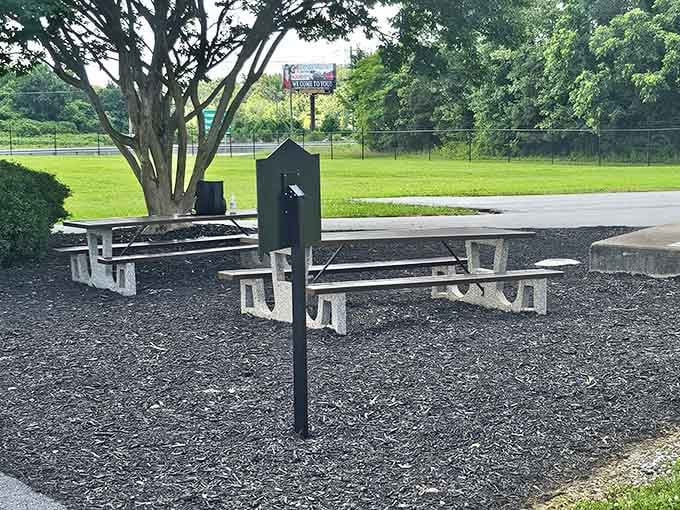 Grab a seat at these picnic tables and enjoy your lunch under the watchful gaze of America's favorite fruit.