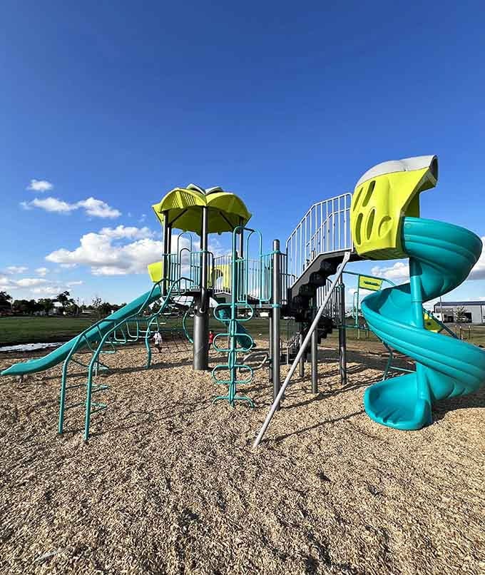 Murphy Park's teal spiral slides and lime green canopy tops pop against that deep blue Panhandle sky like a playground built specifically to make adults jealous.