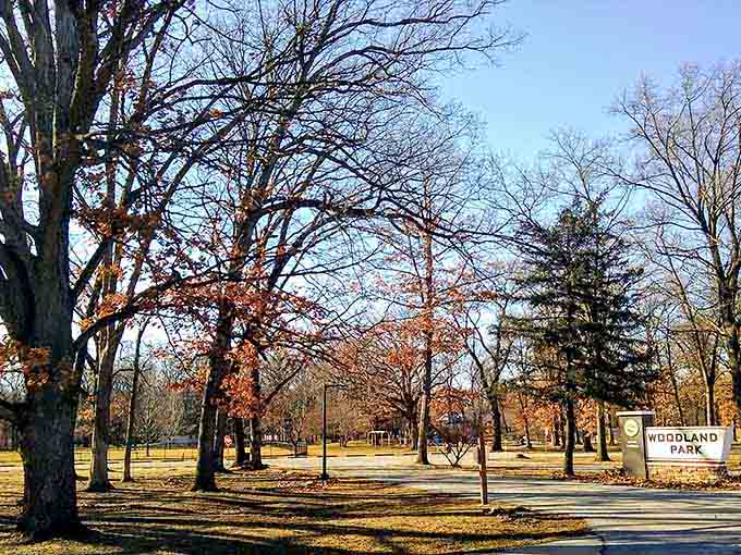 Woodland Park's bare winter trees stand like quiet sentinels, reminding you that even the off-season here has real beauty.