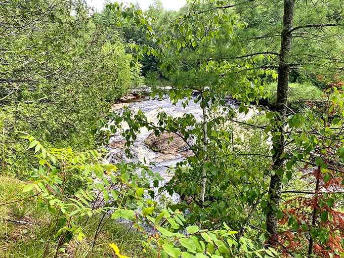 Peek through the trees and catch a glimpse of the falls playing hard to get from a distance.