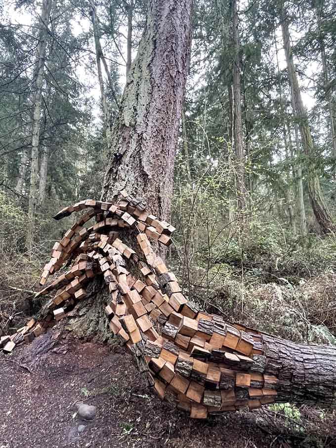 Hundreds of stacked wooden blocks spiral organically around a fallen log, patient craftsmanship meeting the raw beauty of the forest floor.