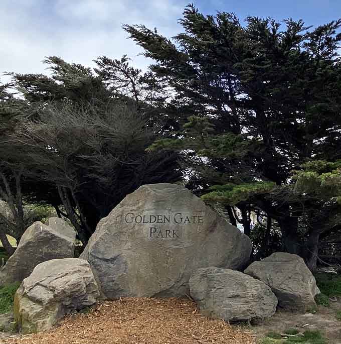 A boulder engraved with the park's name, sitting quietly at the entrance like a very calm, very permanent welcome mat.