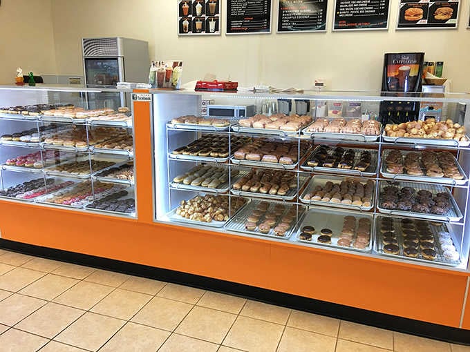 Display cases stretching across the counter like a delicious museum where you're encouraged to touch (and eat) the exhibits.