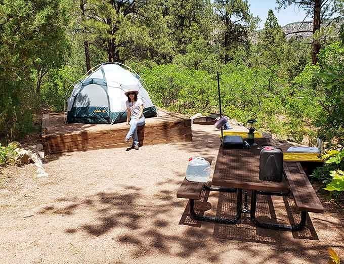 A well-set tent campsite tucked among the pines, proof that roughing it doesn't have to mean suffering.